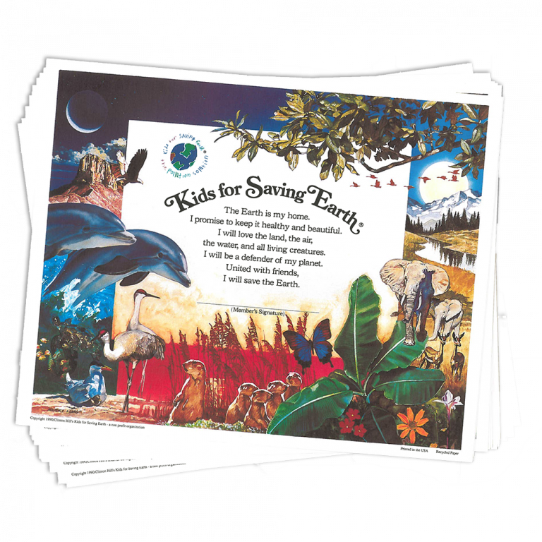 22″ x 17″ KSE Promise Certificate Poster - Kids for Saving Earth